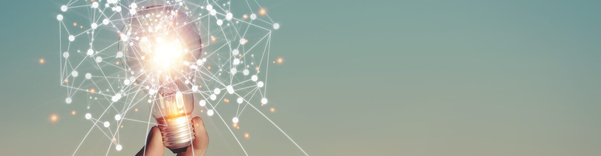 Meta Targeting & Dynamic Ads for Broad Audiences | ROI Revolution