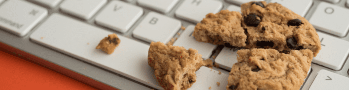 Cookieless Future: Marketing News & Updates | ROI Revolution