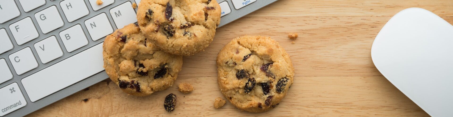 Cookieless Future: Marketing News & Updates | ROI Revolution